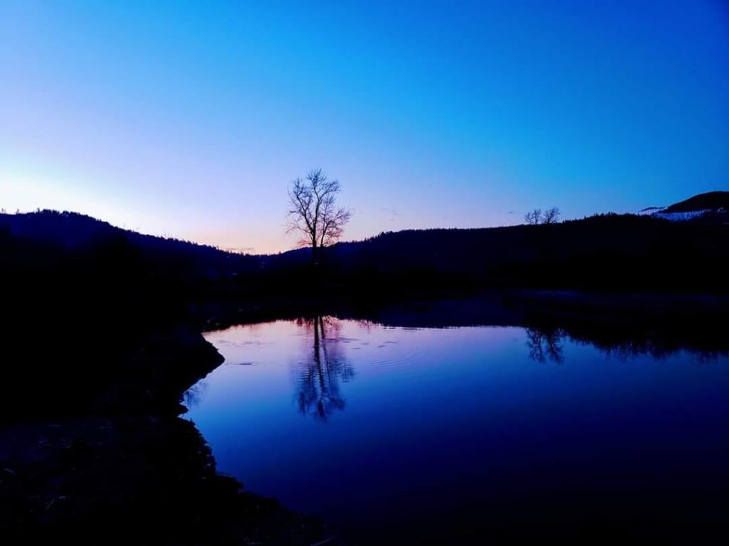 joelife.org - St. Maries Idaho Chamber of Commerce