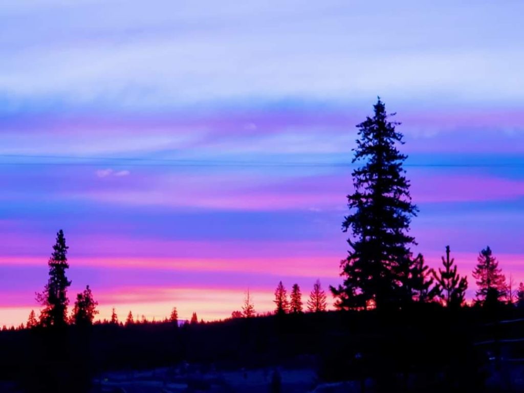 joelife.org - St. Maries Idaho Chamber of Commerce